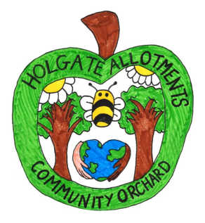 Holgate Community Orchard – Holgate Allotments Association